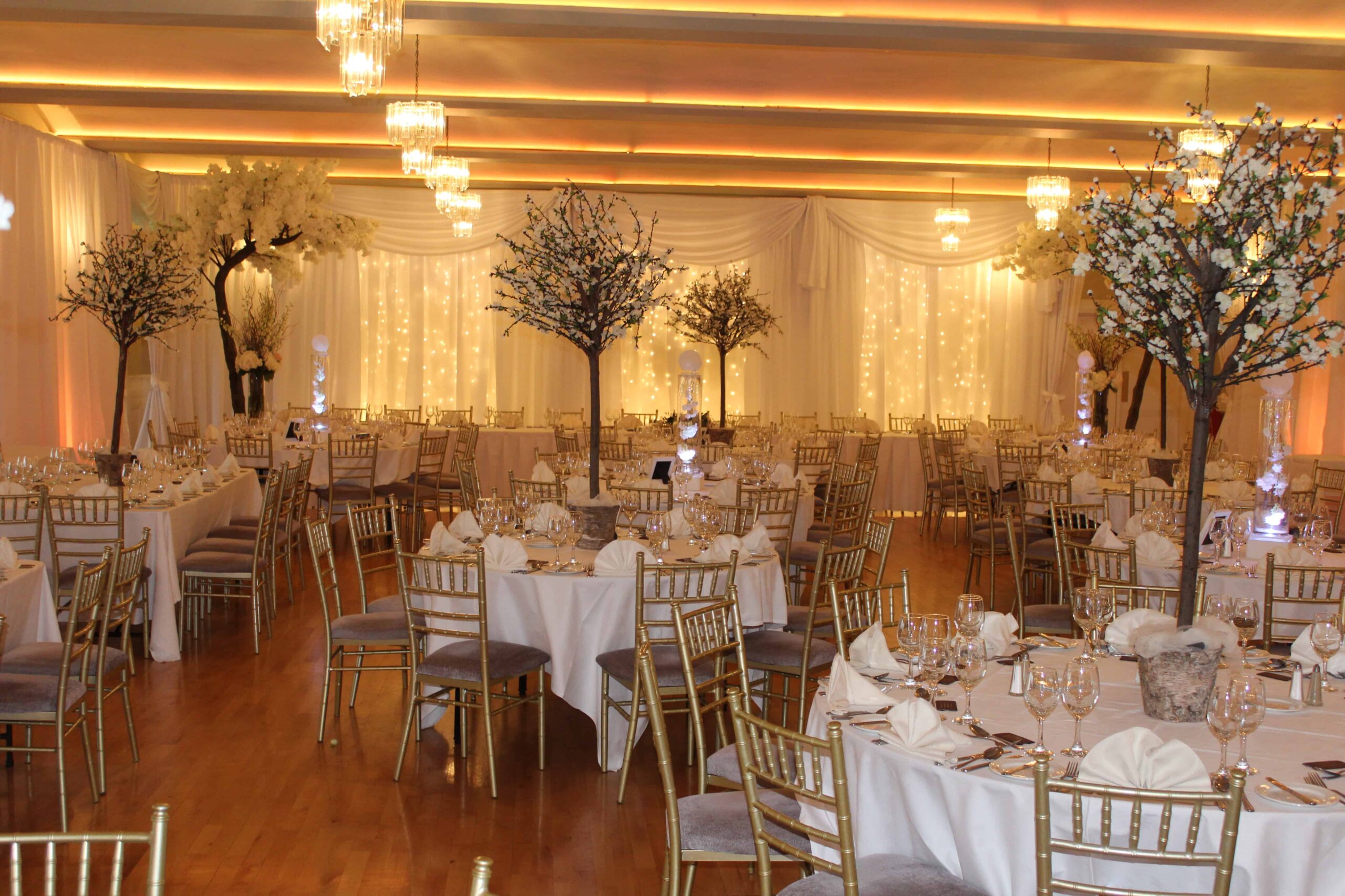 Ballymac Hotel, Dundalk, Co Louth, Wedding Draping - WowWeddings